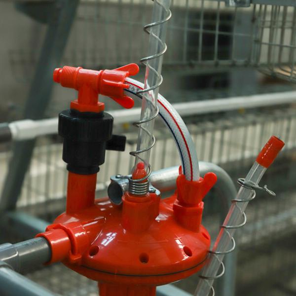 Quality Layer Chicken Battery Cage for Chicken Breeding for sale