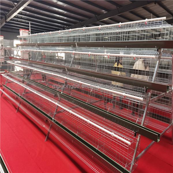 Quality Layer Chicken Battery Cage for Chicken Breeding for sale