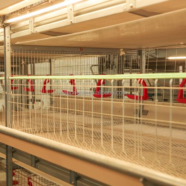 Quality Factory Delivery H Type Fully Automatic Meat Duck Breeding Cage for sale