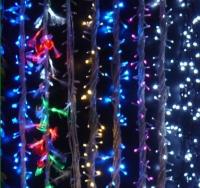China LED christmas light led decorative light for sale