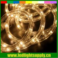 China Flat rope flex light 1/2'' 2 wire 12/24v building decoration led duralight for sale