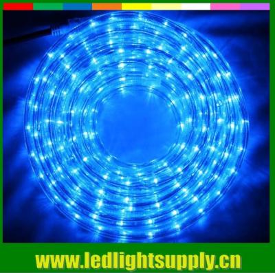 China Led rope light 12/24v shenzhen supply 1/2'' 2 wire duralight strip for sale