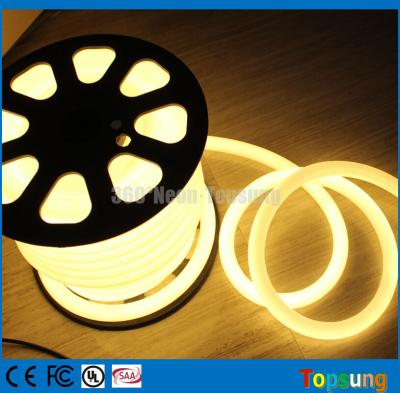 China 82 feet spool 12V 360 degree round warm white led flexible neon for signs for sale