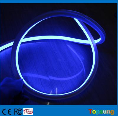 Cina Nuovo design blu quadrato 16*16m 220v flessibile quadrato led neon flex light in vendita