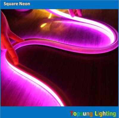 100v 16*16m a neon rosa a LED a strisce flessibile per esterni