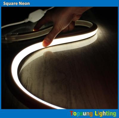 Cina Nuove luci a corda a neon a LED bianche quadrate da 120V del 2016 in vendita