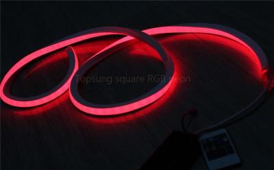 China hot sale square red 24v 16*16m LED neon flex light  for decoration for sale