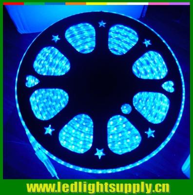 Cina 5050 luci a fascia CA 220V 60LED/M luce blu in vendita