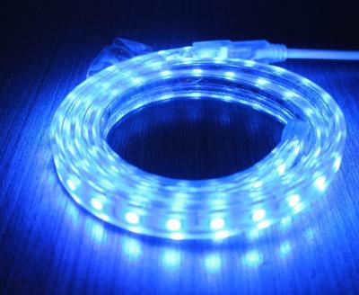 Cina 5050 luci a fascia CA 220V 60LED/M luce blu in vendita