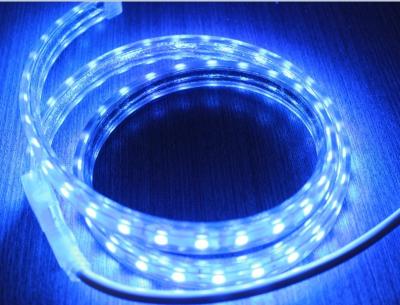 Cina 5050 luci a fascia CA 220V 60LED/M luce blu in vendita