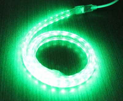 Cina SMD5050 220V ad alta luminosità, impermeabile IP65 a LED a neon, striscia flessibile verde in vendita