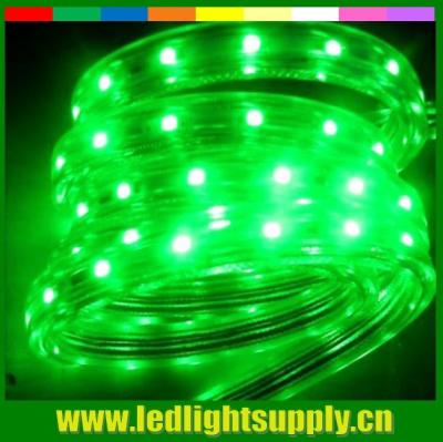 Cina SMD5050 220V ad alta luminosità, impermeabile IP65 a LED a neon, striscia flessibile verde in vendita