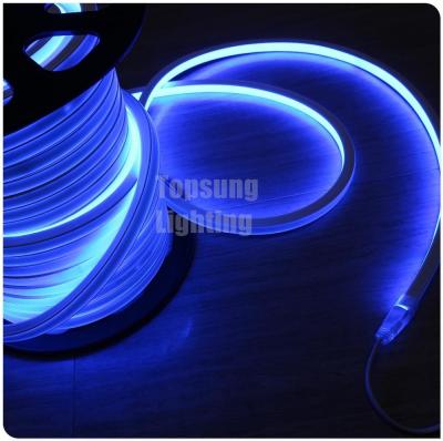 Cina Nuovo design blu quadrato 16*16m 220v flessibile quadrato led neon flex light in vendita