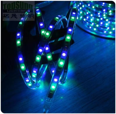 Cina Vendita a caldo 5050 smd 60LED/m striscia blu nastro a led flessibile 110V striscia a LED CA in vendita