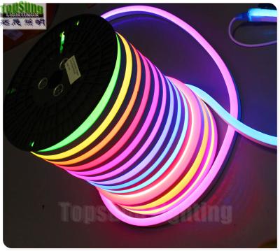 China Iluminação digital de néon de 24 V a LED 14*26 mm à venda