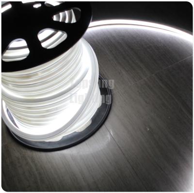 Cina Nuove luci a corda a neon a LED bianche quadrate da 120V del 2016 in vendita