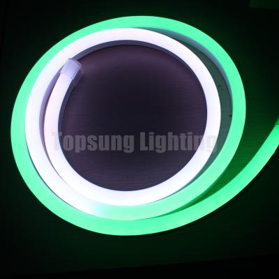China Magic rgb led neon lights 24v digital christmas lights flexible led neon tube for sale