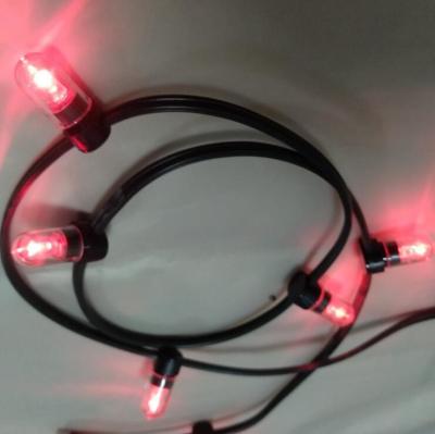 Cina 12v a bassa potenza LED clip light 100m/roll luci di Natale led string luci rosse di riso string 666 lampadine in vendita