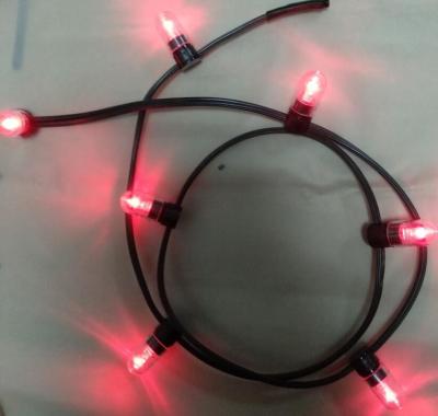 Cina 12v a bassa potenza LED clip light 100m/roll luci di Natale led string luci rosse di riso string 666 lampadine in vendita