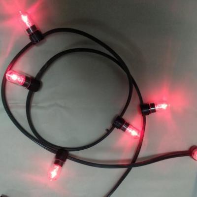Cina 12v a bassa potenza LED clip light 100m/roll luci di Natale led string luci rosse di riso string 666 lampadine in vendita