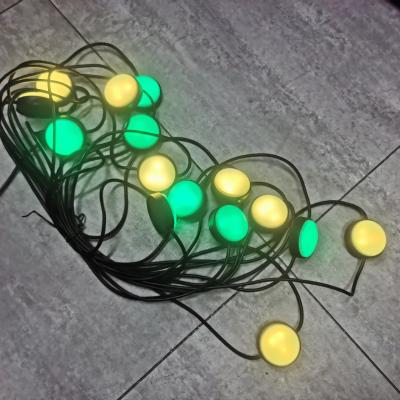 China 15 Bulbs 10m RGB Other LED Lights Lawn Light Post Tuya APP Control for sale