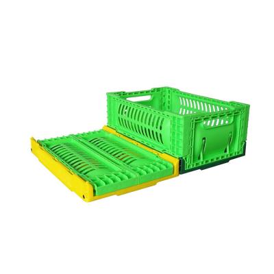 Cina Colore su misura pieghevole della cassa di immagazzinaggio di vegetali di Mesh Plastic 5L in vendita