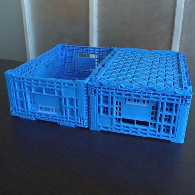 Cina Tipo scaricato materiale uso pieghevole di plastica 600x400x180Mm dei pp della frutta della cassa in vendita