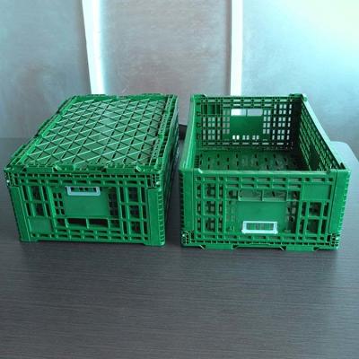 China Groen Plastic Opslagkrat 600x400x220cm voor Fruitgroente Te koop