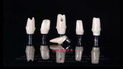 China Zirconia Custom Implant Abutment for sale