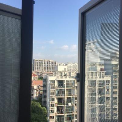 Cina Moderno design alluminio doppio vetro persiane per finestre Ombre per il modello di apertura verticale in vendita