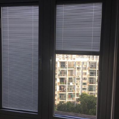Cina Moderno design alluminio doppio vetro persiane per finestre Ombre per il modello di apertura verticale in vendita