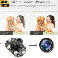 China 2MP USB Camera Module Full HD Night Vision 1080P 30FPS With HM2131 Sensor for sale