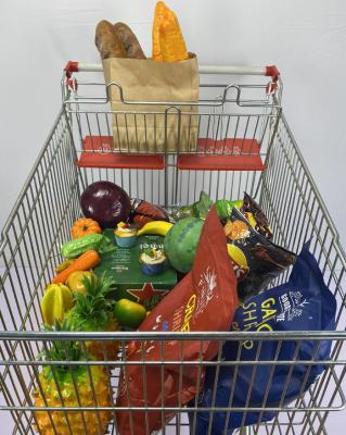 China Super Large 275L Metal Shopping Cart Trolley With Foldable Double Child Seats for sale