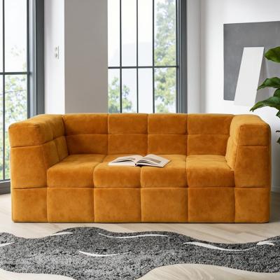 China Luxury Customized Vacuum-Sealed Compressed Elegant Living Room Sofa Elegant Furniture Couch with Sponge Filling Material for sale