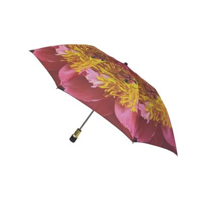 China Customized Foldable Umbrella With 8 Umbrella Ribs And Pongee Cloth for sale