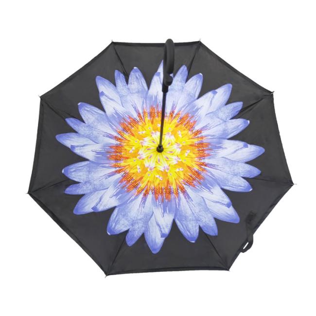 Demonstration of umbrella in use showing inverted folding mechanism