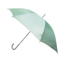 China Custom Advertising Straight Bone Umbrella 23 Inch 8K Auto Open Polyester for sale