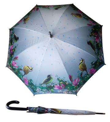 Chine parapluie droit protégeant du vent d'axe en métal de 8mm pour des femmes à vendre