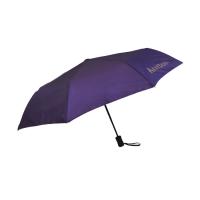 China Auto Open 3 Fold Double Layer Telescopic Umbrella 21 Inch 8 Panels Windproof for sale