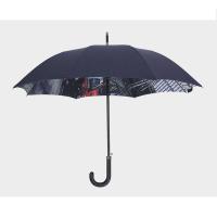 China Custom Train Printing Windproof Compact Golf Umbrella 27 Inch 8 Ribs Fiberglass Frame for sale