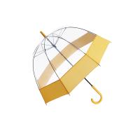 China Transparent Dome Shape Automatic PVC Apollo Umbrella 23 Inch 8K Custom Logo for sale