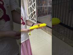 Creative Umbrella、Banana Umbrella
