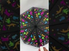Creative Umbrella