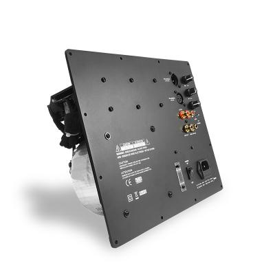 China Class D Subwoofer Amplifier Board with 4 Ohm Output Impedance 30-200 Hz Frequency Response and Toroidal Power Supply for sale