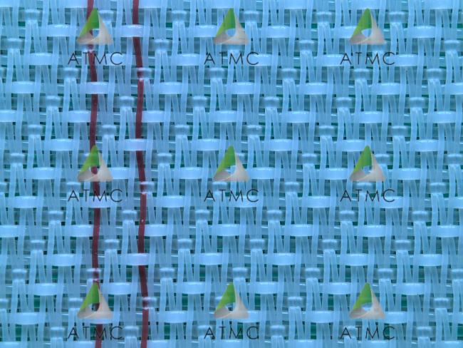 Forming Fabric KRAFT SL2105L - Top Side View