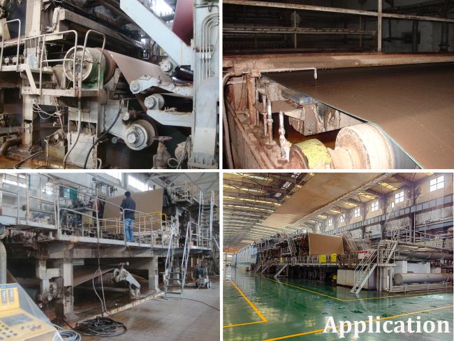 Forming Fabric application in packing paper production