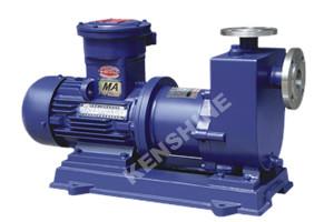 China ZCQ Self priming electromagnetic pump/magnetic pump/chemical pump for sale