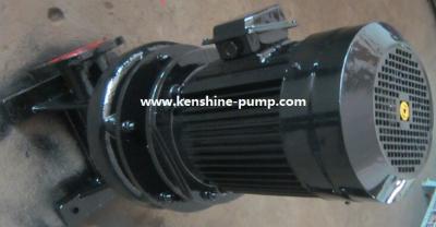 China LW,GW Vertical sewage pump for waste water/centrifugal pump inline for sale