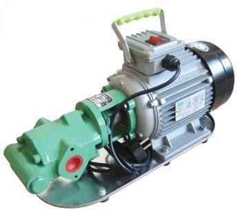 China WCB Series portable gear oil transfer pump cast iron pump stainless steel gear pump diesel pump gasoline pump kenshine for sale