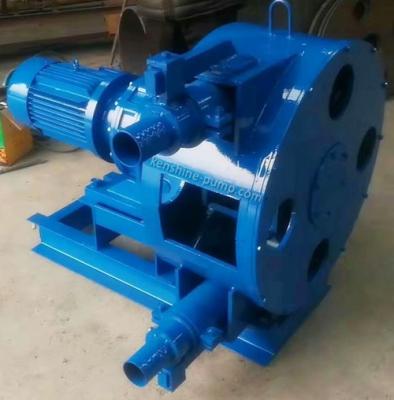 China RGB peristaltic pump hose pump slurry pump high viscosity fluids pump for sale